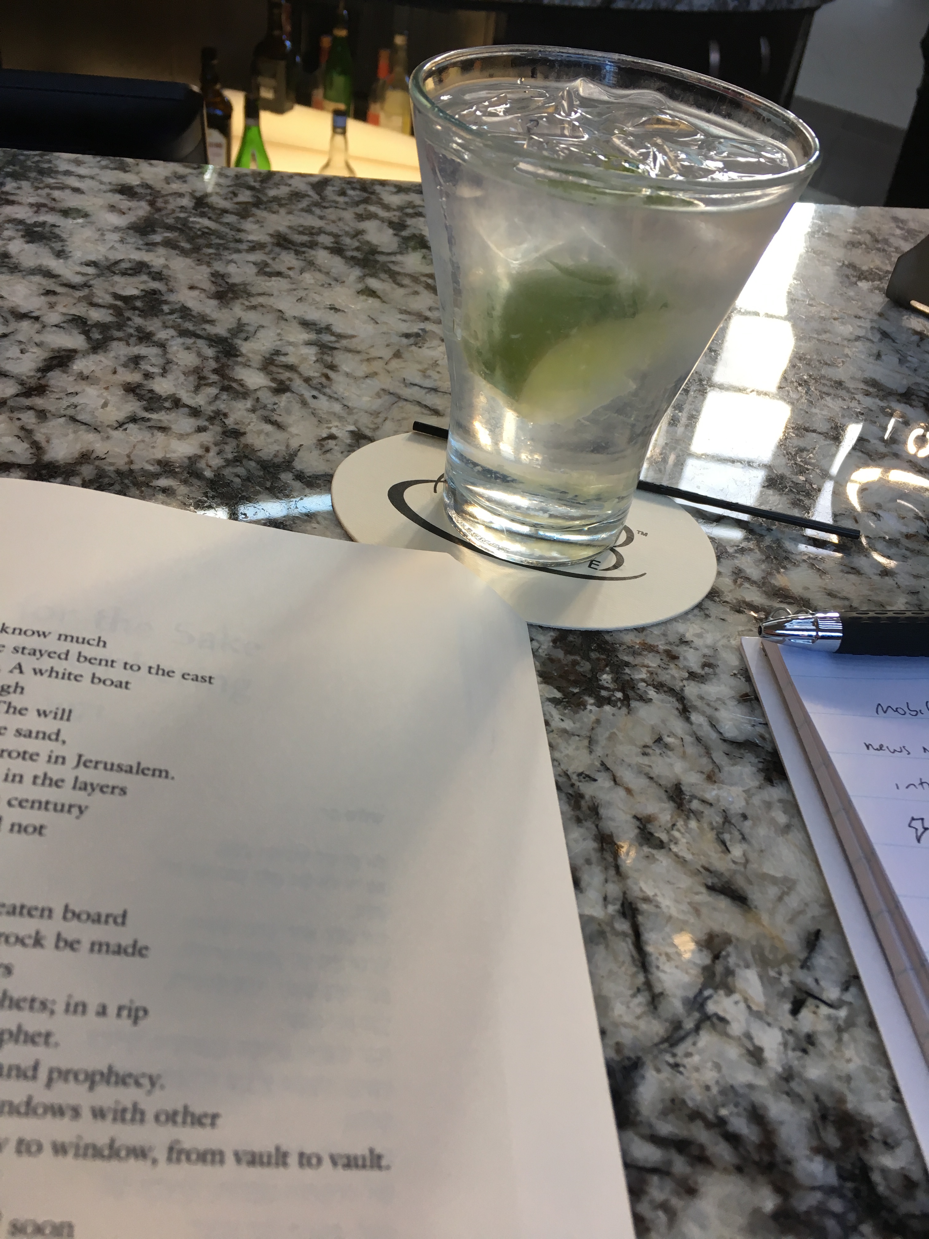 Stillness at a bar in the middle of a busy hotel lobby | Translations ...